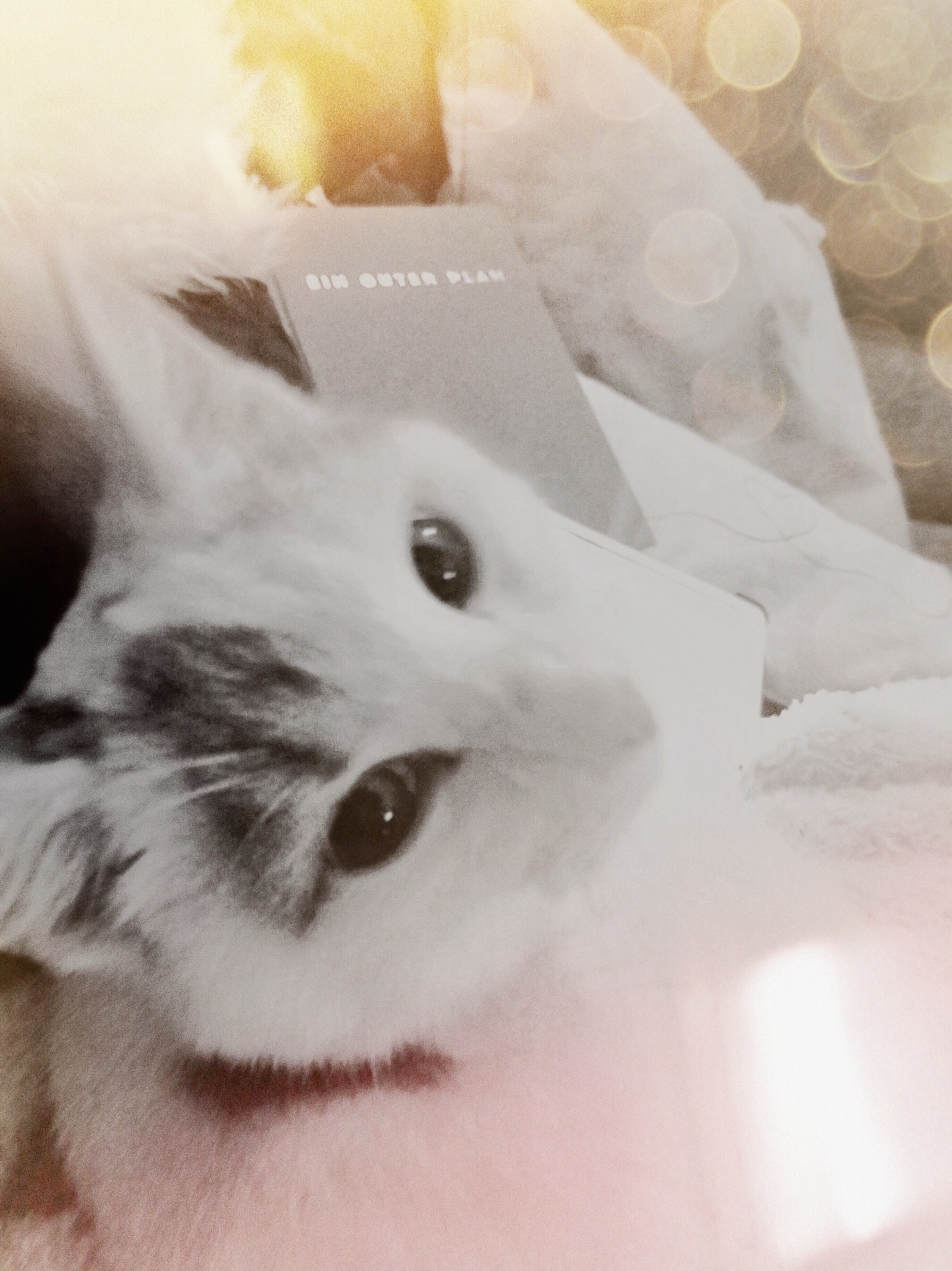 Lebensplanung – Ein guter Plan?? – Reife Leistung